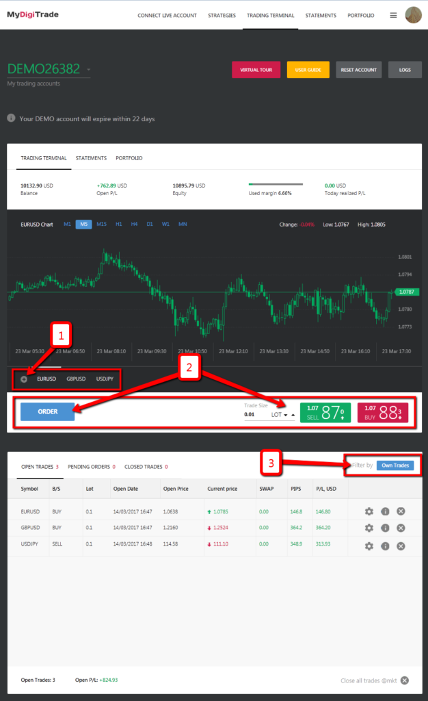 Trading terminal and performance monitoring (statements) | MyDigiTrade